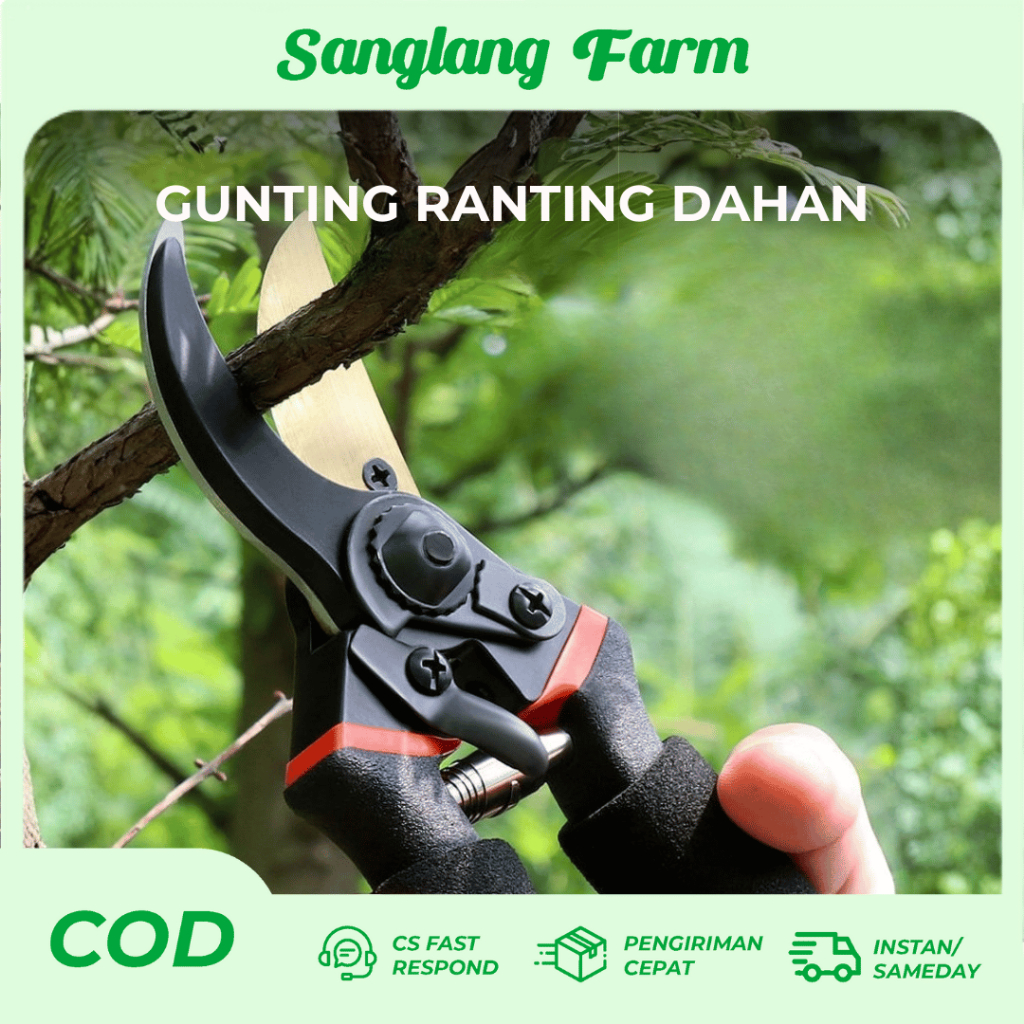 Jual Gunting Ranting Tanaman Baja SK5 Anti Karat Tajam Hemat Tenaga dan ...