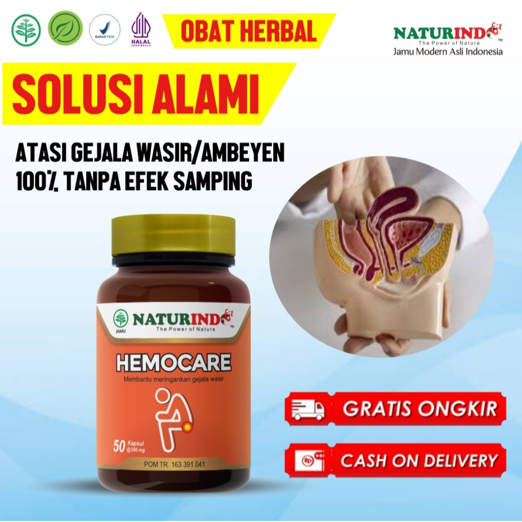 Jual Hemocare Naturindo Obat Wasir Ambeien Stadium 1-4 Tanpa Operasi ...