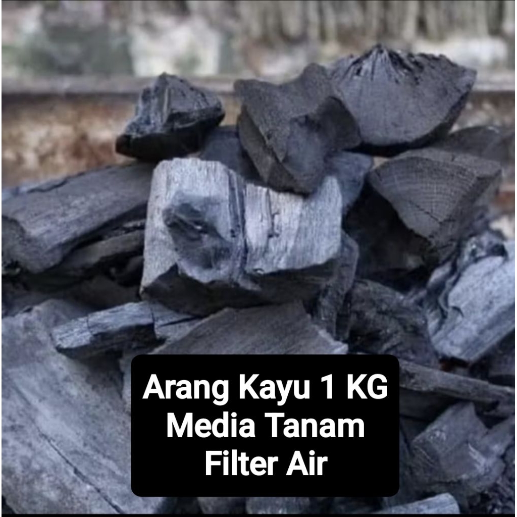 Jual Arang Kayu Bakar 1 KG Pupuk Tanaman Bakaran Sate BBQ, Areng Kayu ...