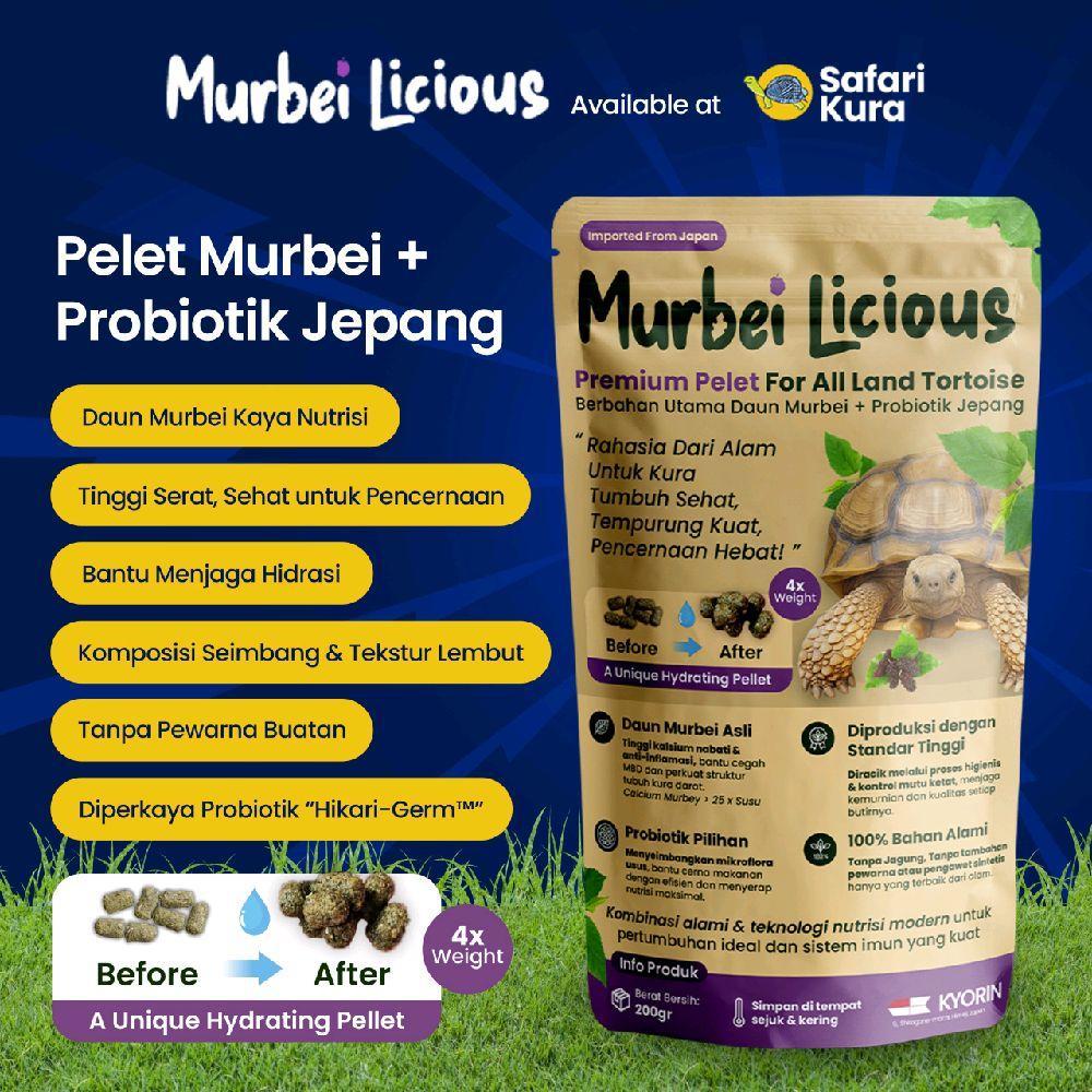 Jual MURBEI LICIOUS PELET MURBEY HIKARI MULBERIFIC DELITE 150 GR ...