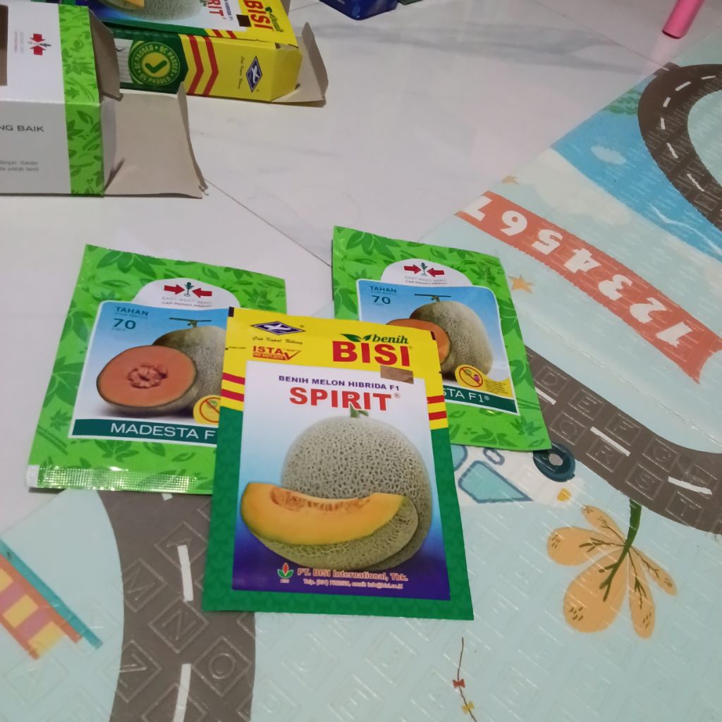 Jual Benih Bibit Melon Spirit F1, Perawatan Mudah (Setipe Madesta F1 ...