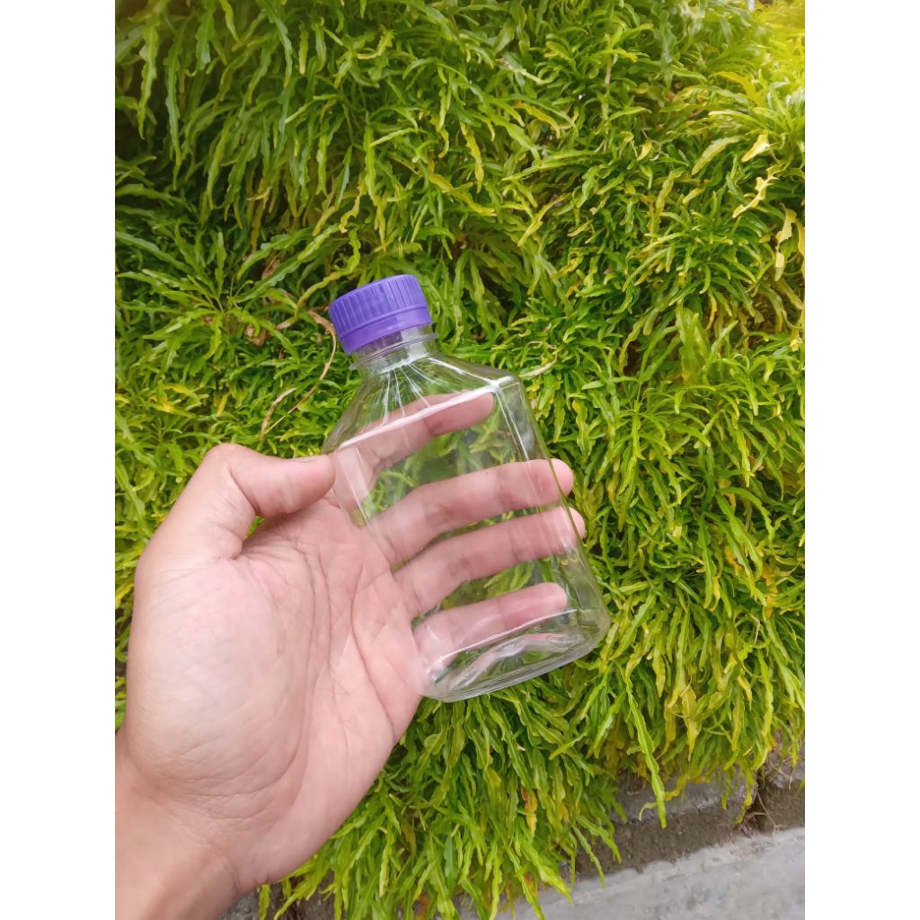 Jual Botol Plastik Ciu 250 ml (minimal order 10 pcs) | Shopee Indonesia