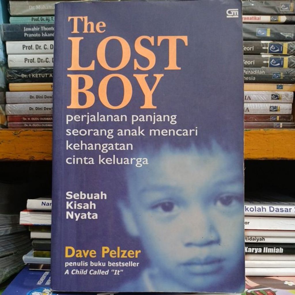 Jual The LOST BOY oleh Dave Pelzer (Buku Bekas Original) | Shopee Indonesia