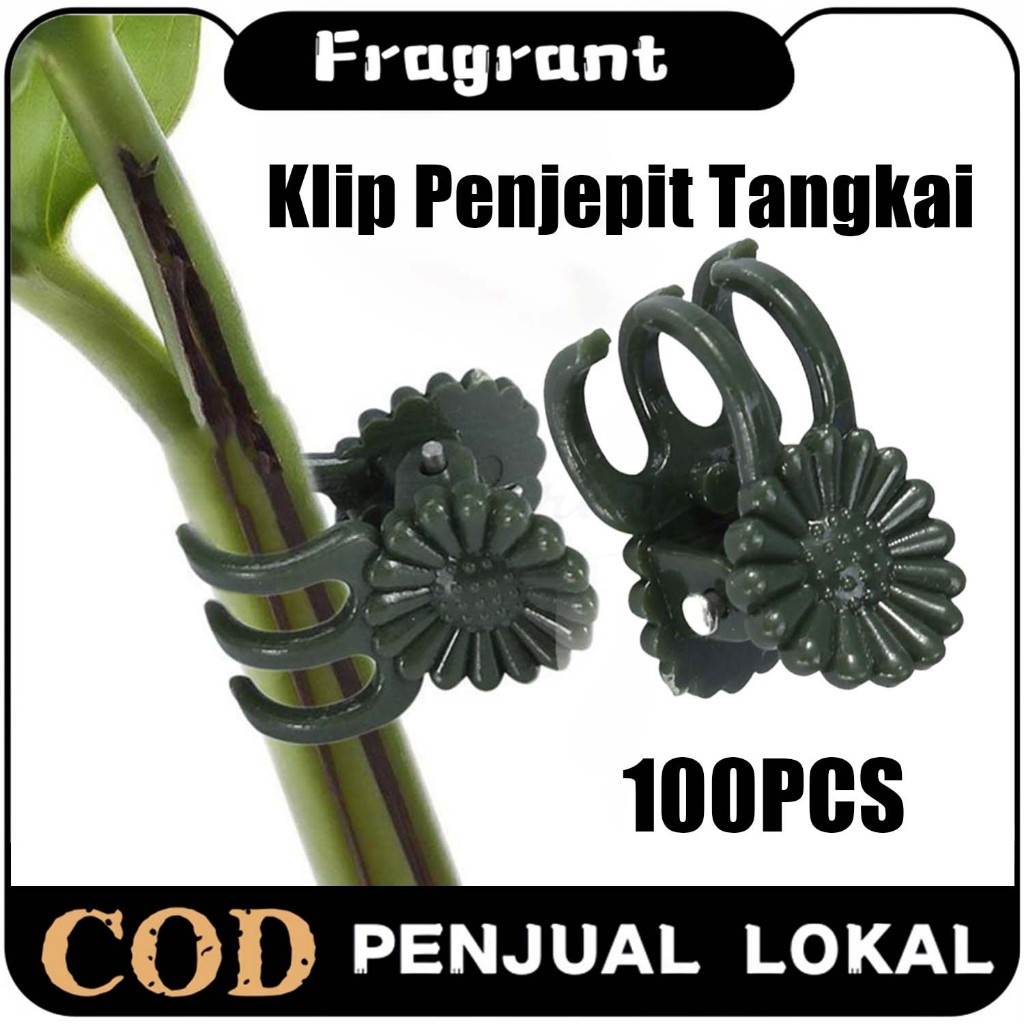 Jual 【Produk Baru】100pcs Klip Penjepit Tangkai Bunga Anggrek / Jepitan ...