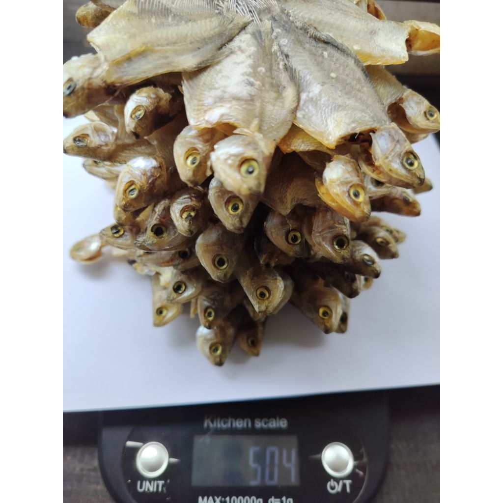 Jual IKAN ASIN SEPAT KIPAS KHAS NAGARA KALIMANTAN SELATAN | Shopee ...