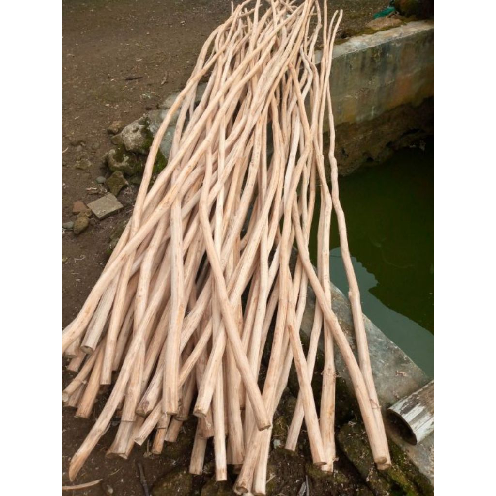 Jual Kayu Kopi Lurus Panjang sudah kupas 2 m | Shopee Indonesia