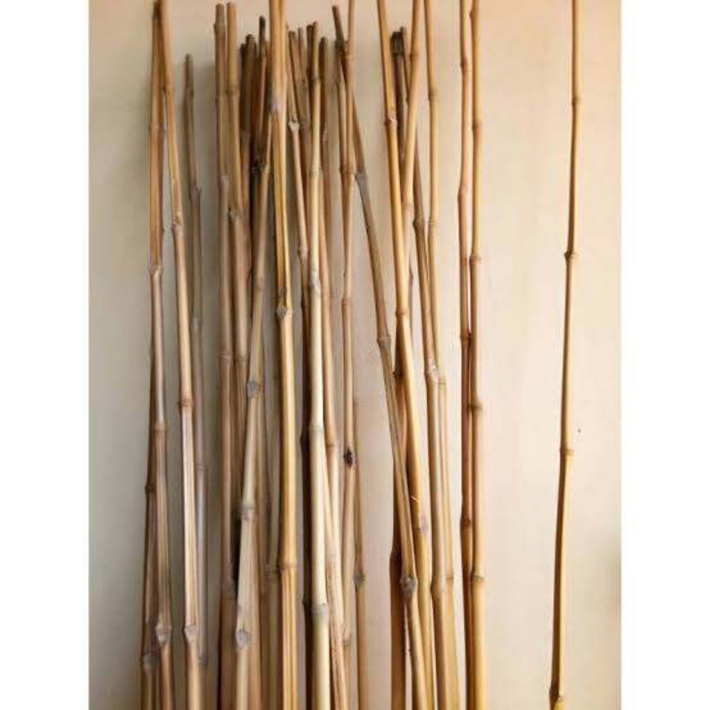 Jual Ranting Bambu Petung Kering 120 cm | Shopee Indonesia