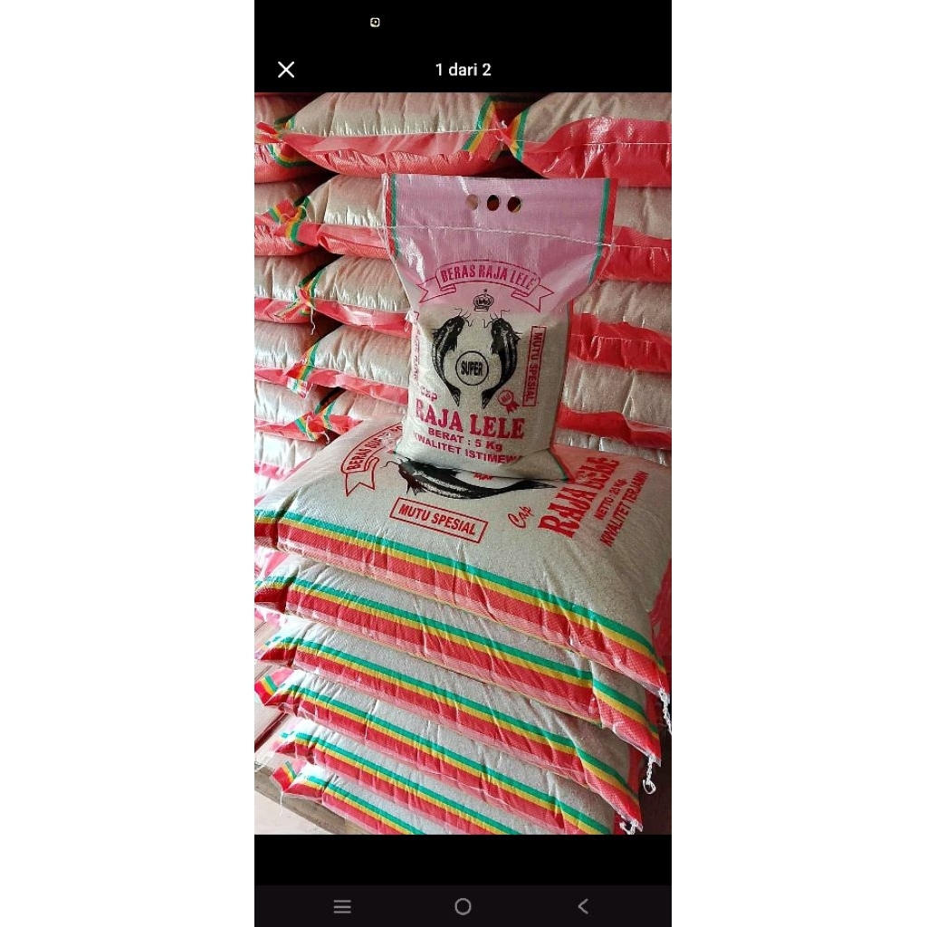 Jual BERAS SLYP KEMASAN SAK PINK ROJO LELE 5KG PUNEL | Shopee Indonesia