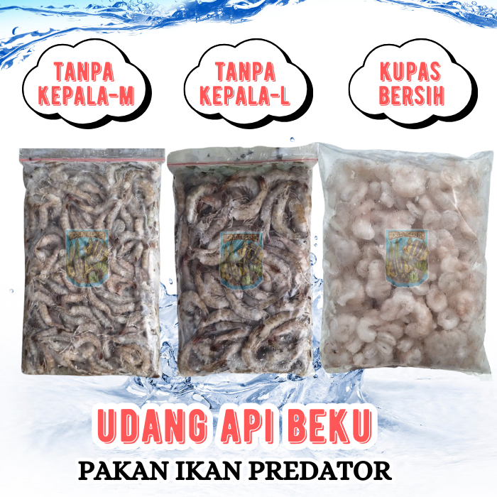 Jual Udang Api Beku Udang Tambak Fresh 500gr | Shopee Indonesia