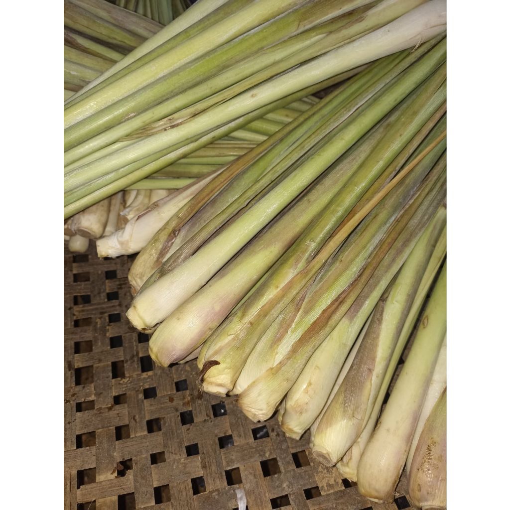 Jual Sereh segar asli Cianjur | Shopee Indonesia
