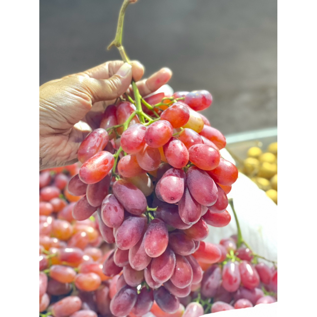 Jual Anggur Long crimson kemasan pack berat kurang lebih 500gram ...