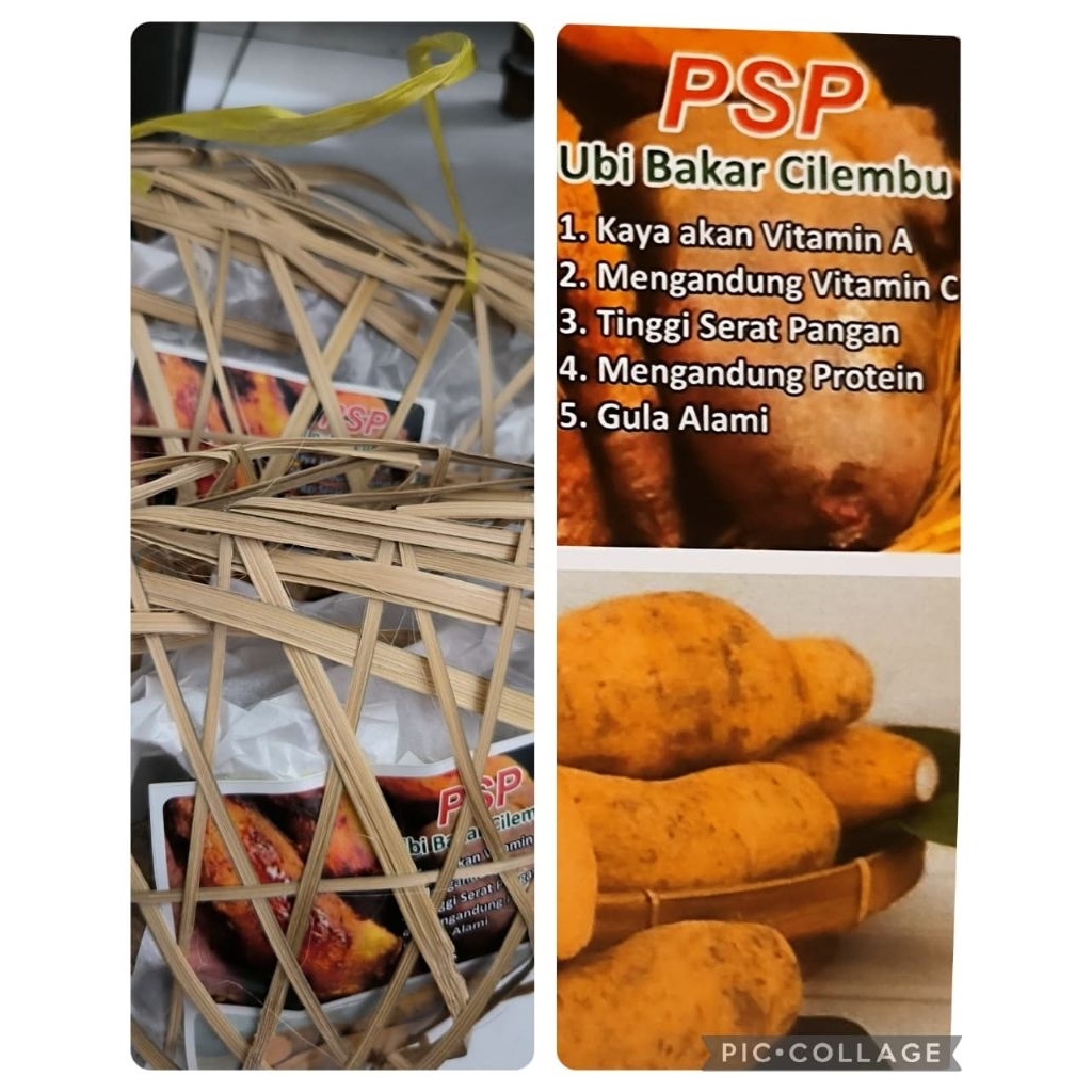 Jual Ubi Bakar Madu Cilembu Terlengkap & Harga Terbaru Mei 2026 ...