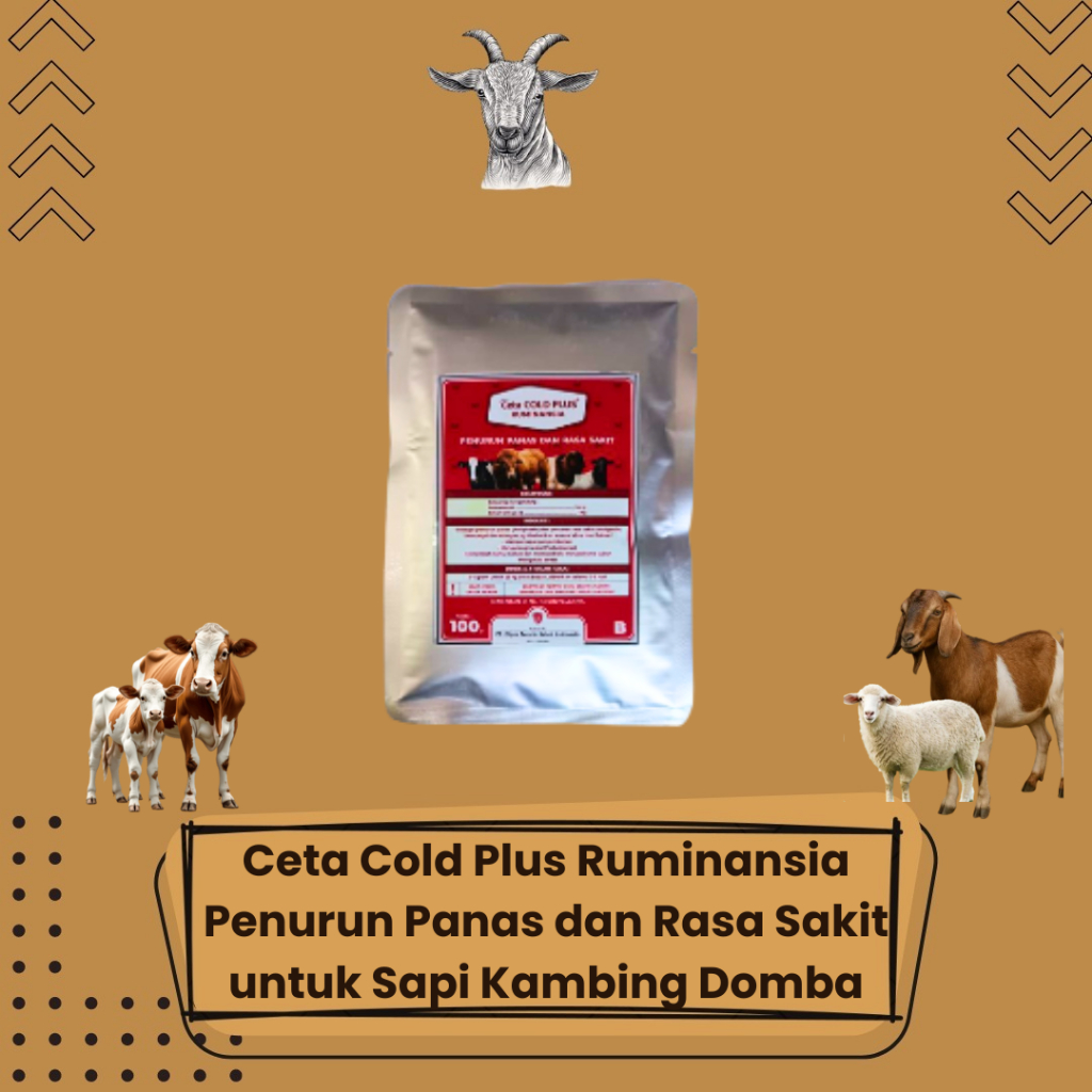 Jual Ceta Cold Plus Ruminansia Obat Penurun Panas dan Rasa Sakit untuk ...