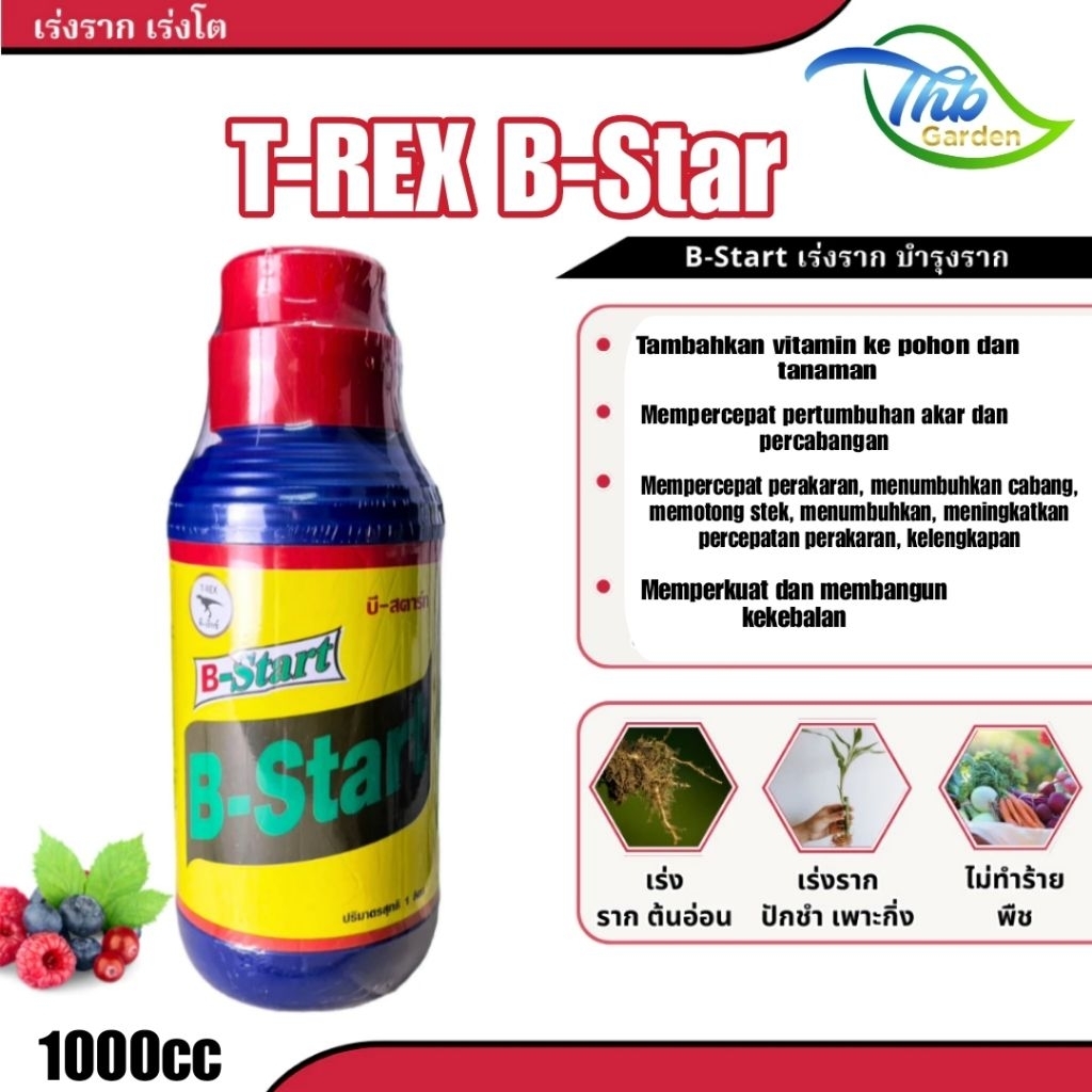 Jual B1 Tanaman Star T-Rex 1000ml Anti Stres& Pupuk Cair Tanaman ...