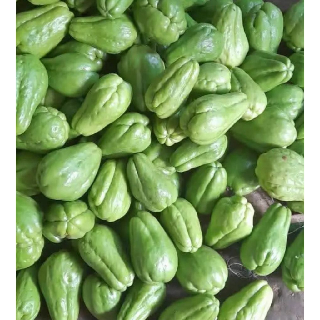 Jual labu siam fresh /waluh cina /jipang langsung dari petani | Shopee ...