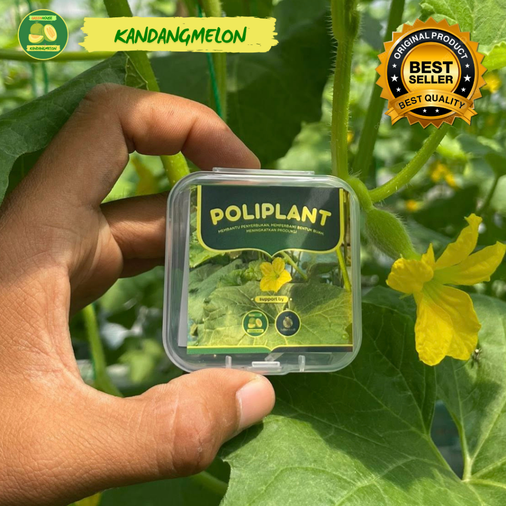 Jual POLIPLANT || Cairan Polinasi Melon & Semangka (500ML)| Hormon ...