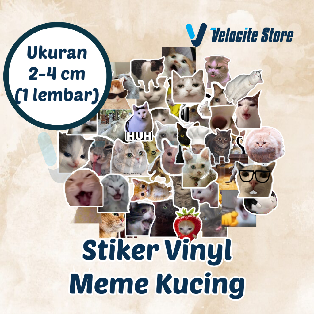 Jual Stiker Vinyl Meme Kucing Ukuran 2-4 cm (1 lembar) | Shopee Indonesia