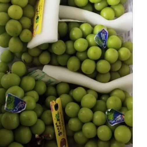 Jual anggur Muscat fresh 1 kg | Shopee Indonesia