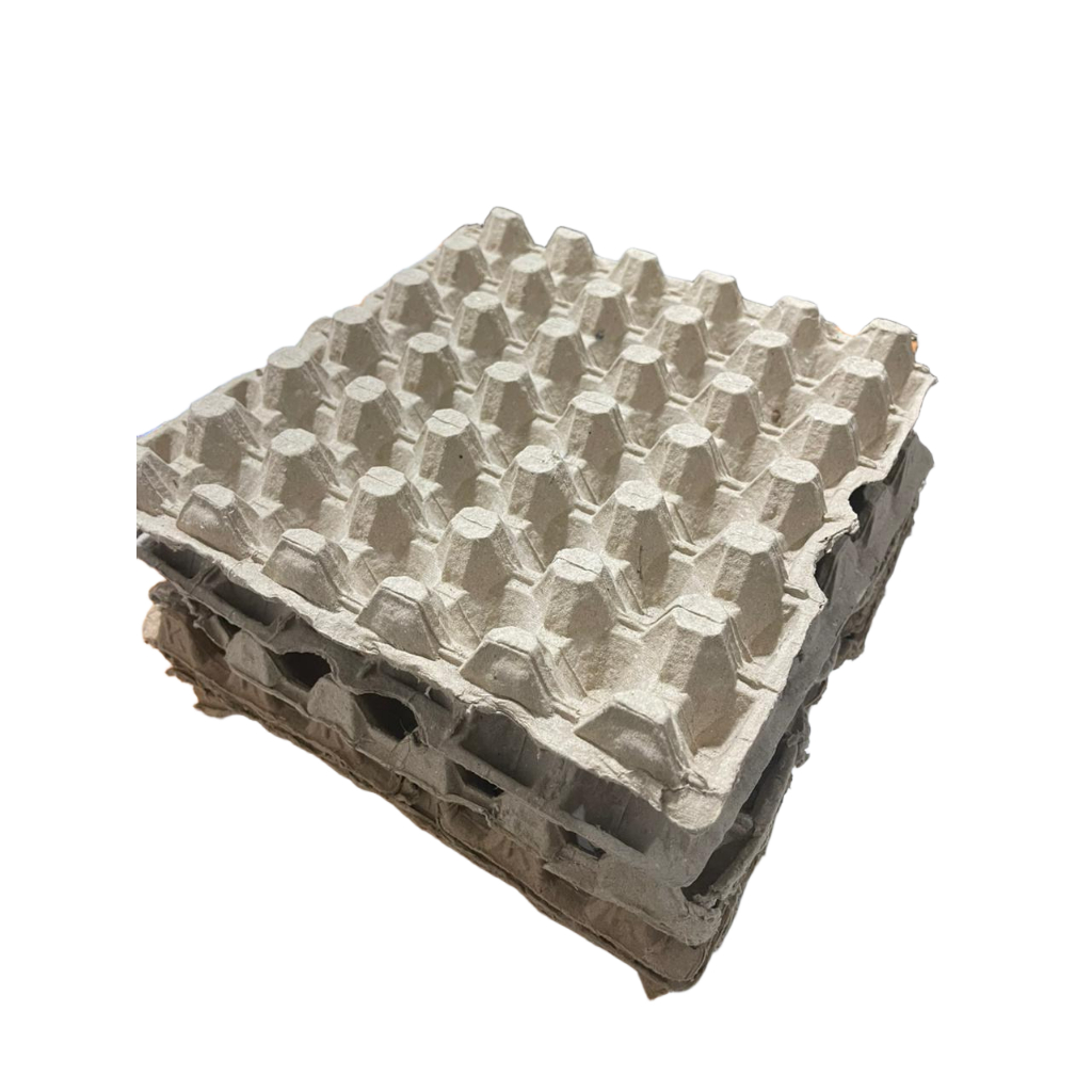Jual TEMPAT RAK TELUR / EGG TRAY BEKAS KARTON 30 LUBANG TELUR AYAM ...