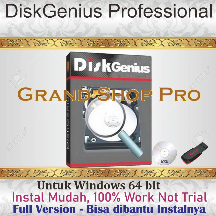 Jual DiskGenius Professional 6.0.1.1645 (Full Version, Not Trial ...