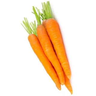 Jual Wortel 1 Kg Terlengkap & Harga Terbaru Februari 2026 | Shopee ...
