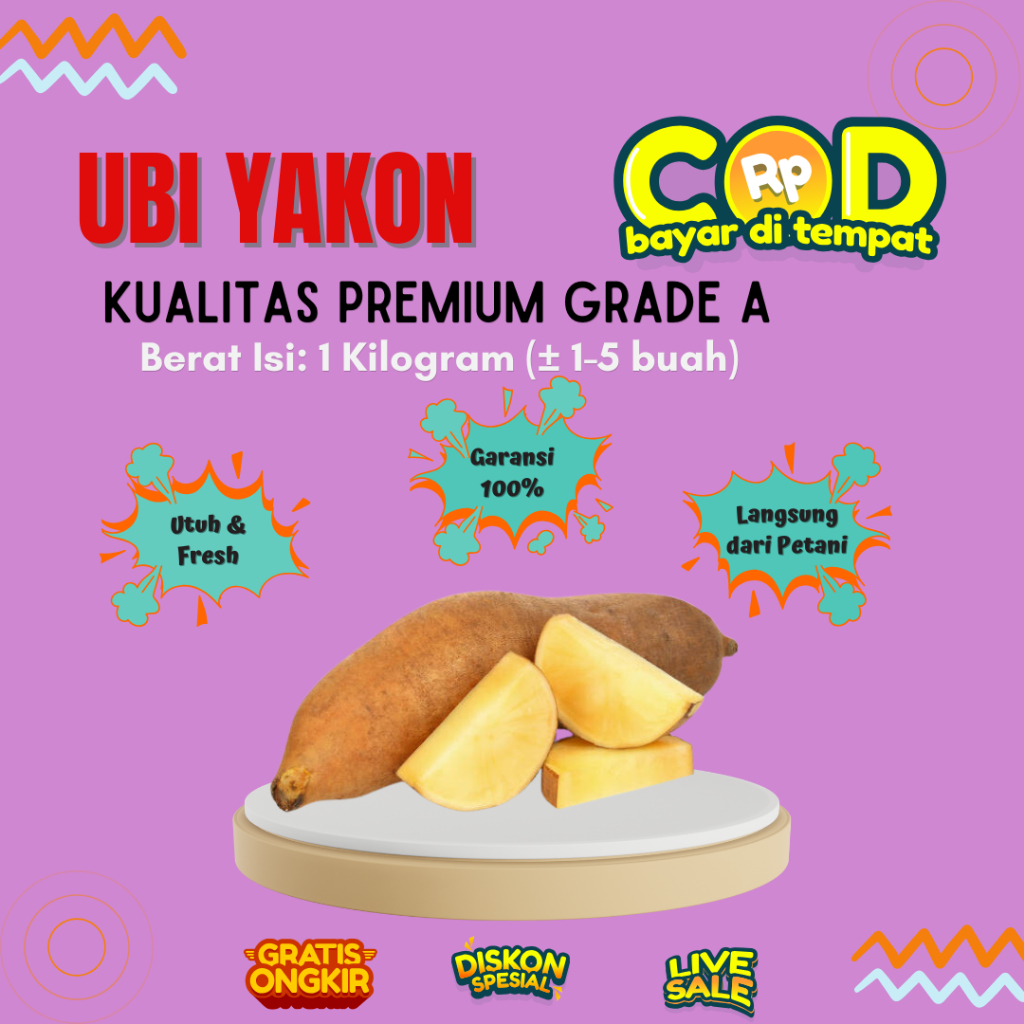 Jual Ubi Yakon Khas Wonosobo Premium Isi 1-5 buah per kg | Shopee Indonesia