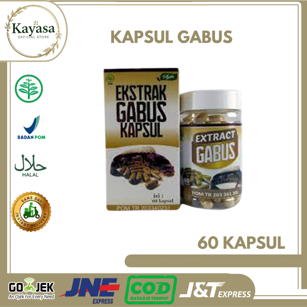 Jual Kapsul Ikan Gabus Syifa 60 Kapsul | Ekstrak Gabus untuk Pemulihan ...