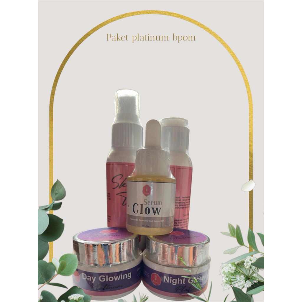 Jual PAKET PLATINUM BPOM XBEAUTYSKIN (fw&skin toner white) | Shopee ...