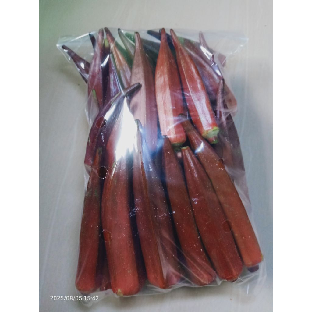 Jual JUAL OKRA MERAH ORGANIK FRESH KEBUN TANI~Berat;1 Kg,0.5 Kg,0.2 Kg ...