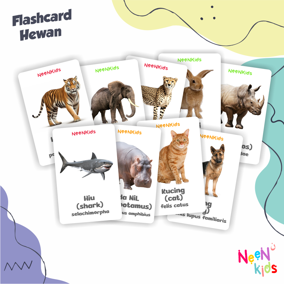 Jual Neenkids Flashcard Hewan Belajar Mengenal Mainan Kartu Edutoys ...