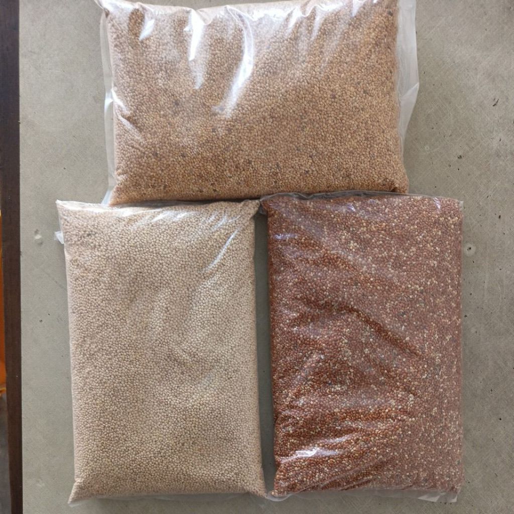 Jual Milet Putih, Merah & Kuning. Repack 1 Kg. | Shopee Indonesia