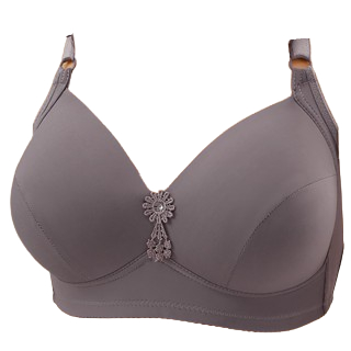 Jual Bra Cewek BH Jumbo Push Up Bh wanita tanpa kawat Cup D busa tipis ...