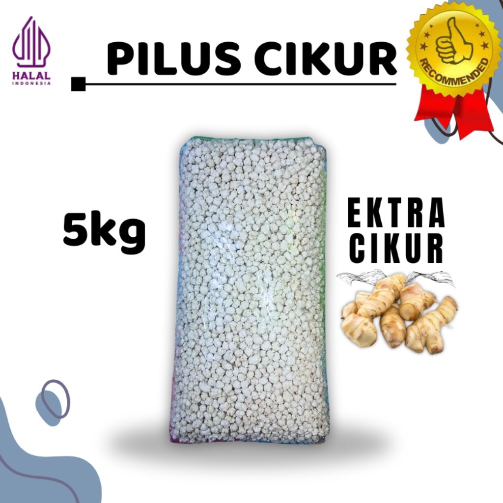 Jual Pilus Cikur 5kg/ Pilus Kencur Ektra Cikurnya Topping makanan ...