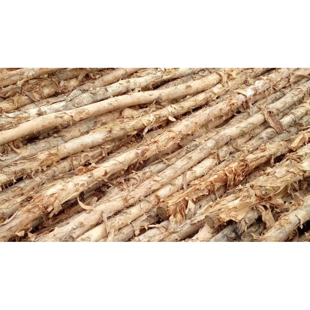 Jual Kayu Gelam Terlengkap & Harga Terbaru Mei 2026 | Shopee Indonesia