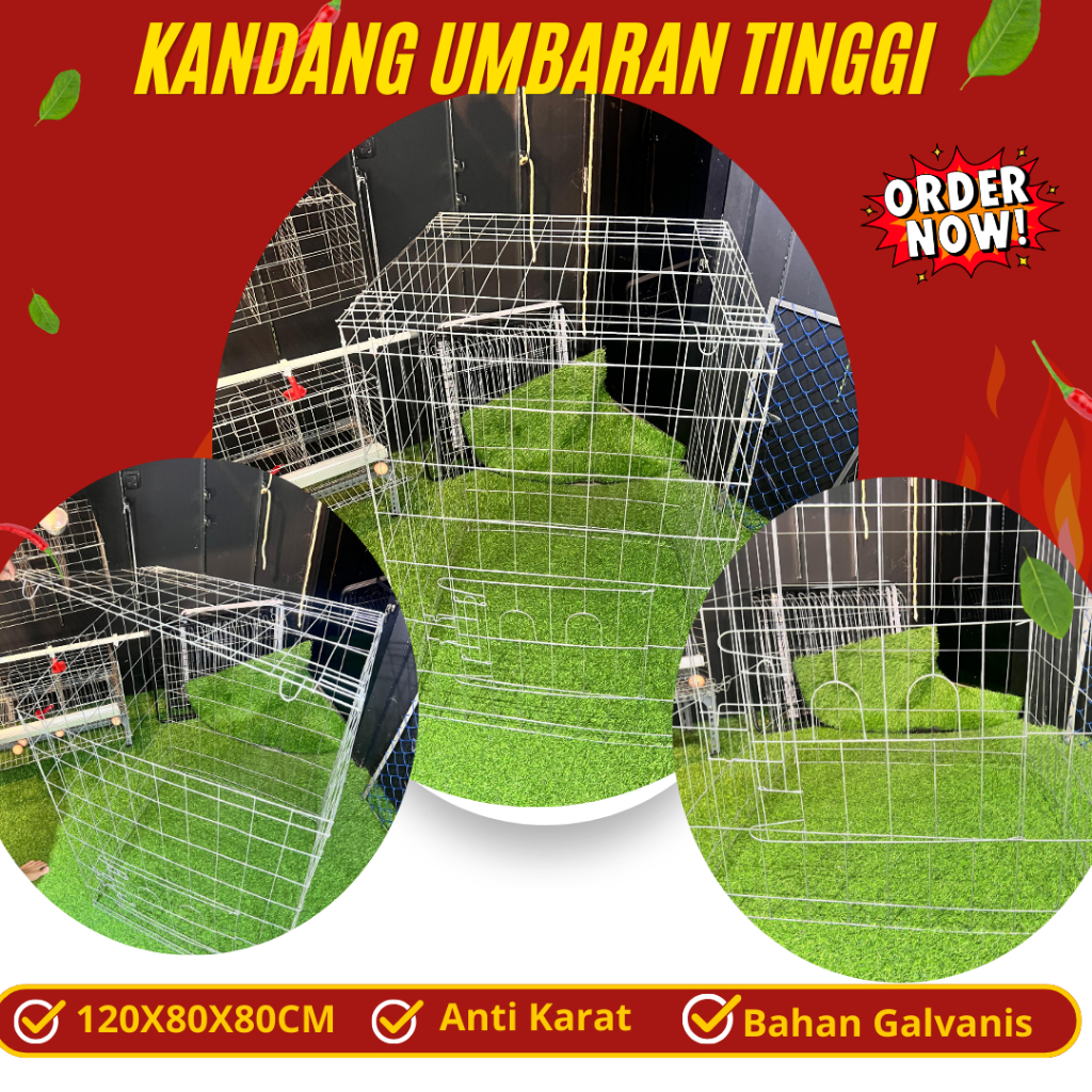 Jual KANDANG UMBARAN GALVANIS ANTI KARAT, KANDANG FLYING PLANE | Shopee ...