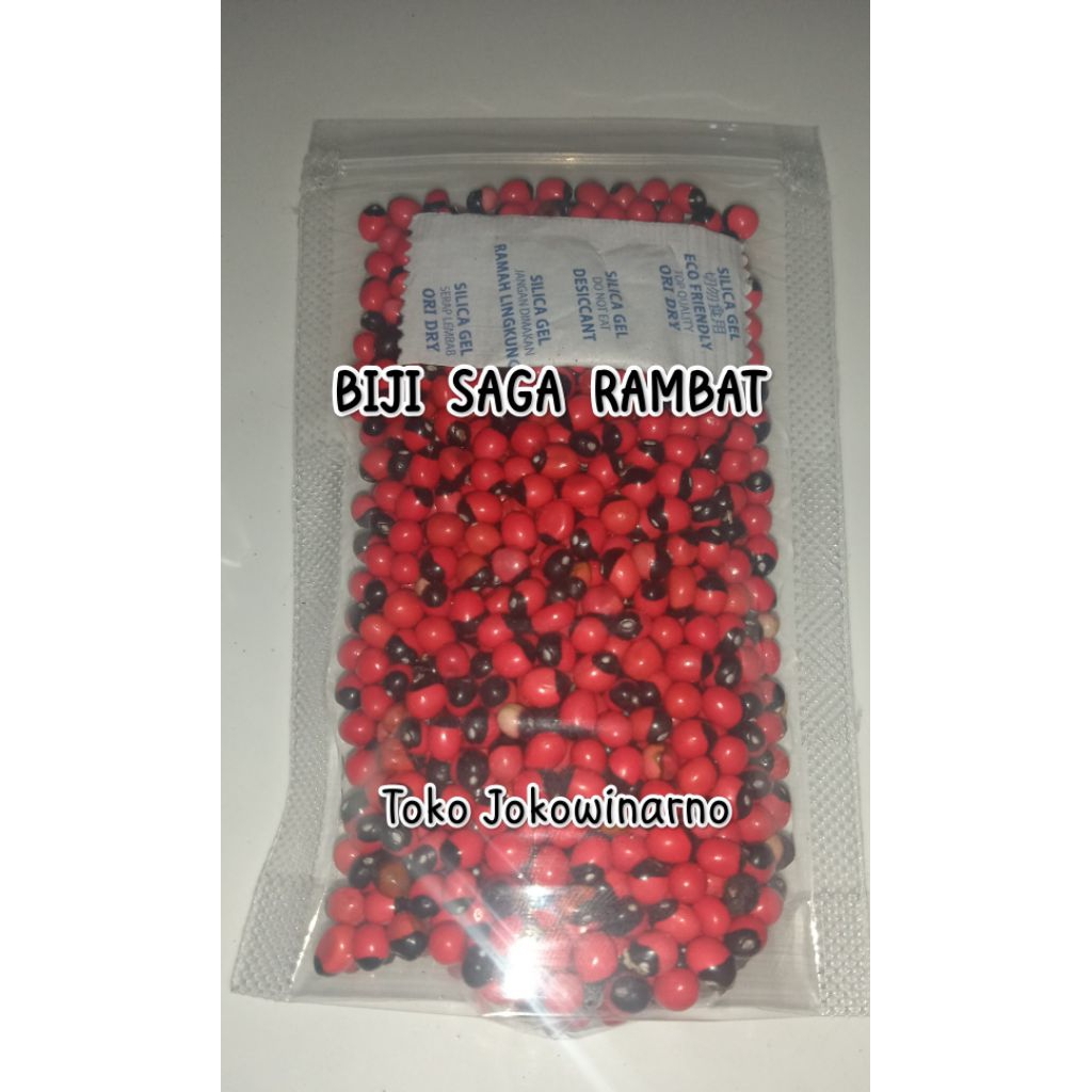 Jual BIJI SAGA RAMBAT 100 Gram - Saga rambat asli bintik hitam | Shopee ...