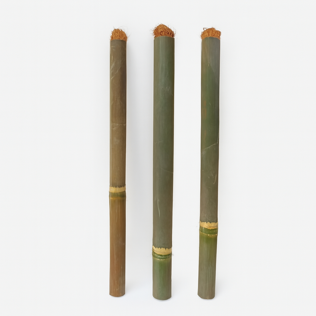 Jual Obor bambu sudah di lengkapi sumbu | Shopee Indonesia