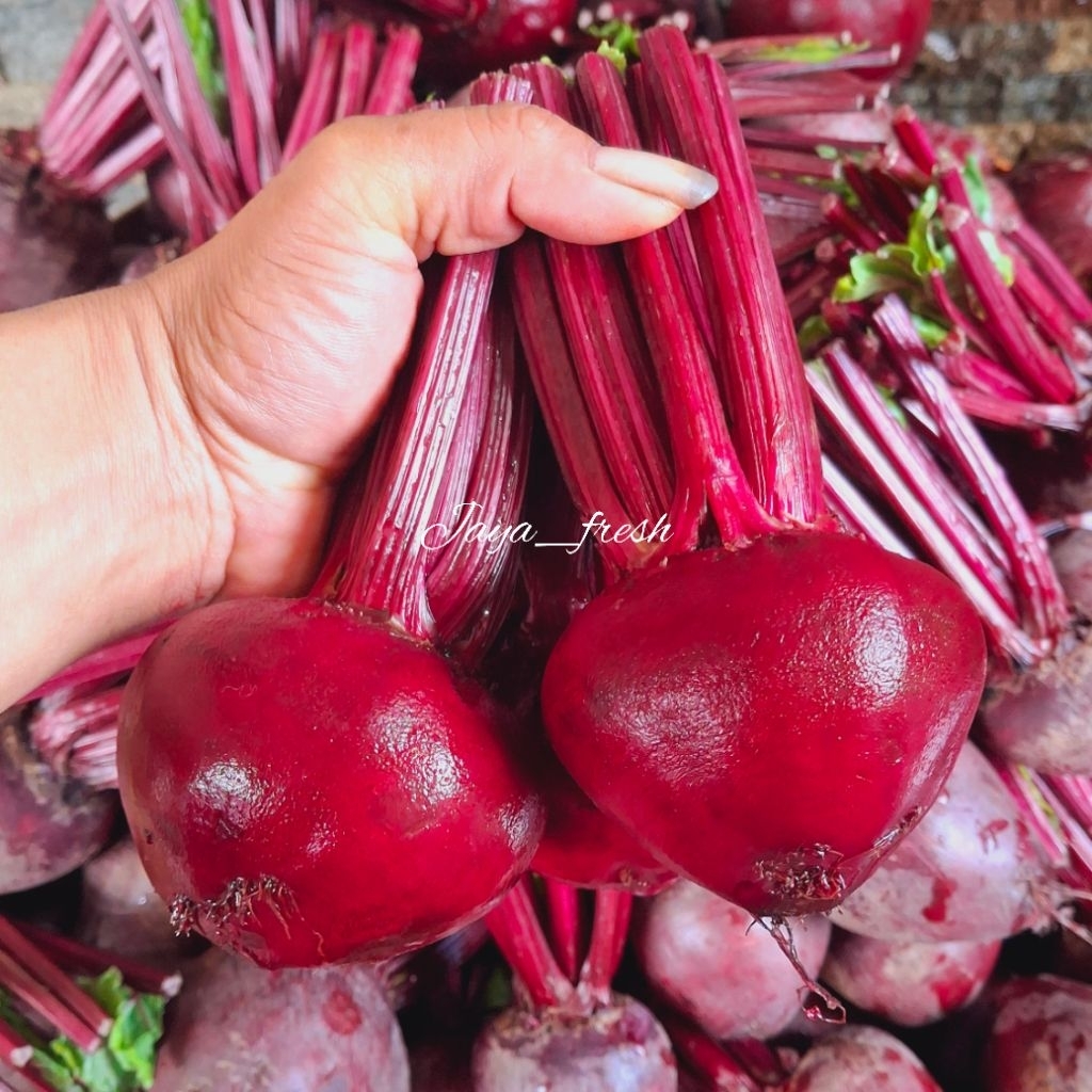 Jual BUAH BIT FRESH 1KG HASIL KEBUN SENDIRI KUALITAS SUPER | Shopee ...