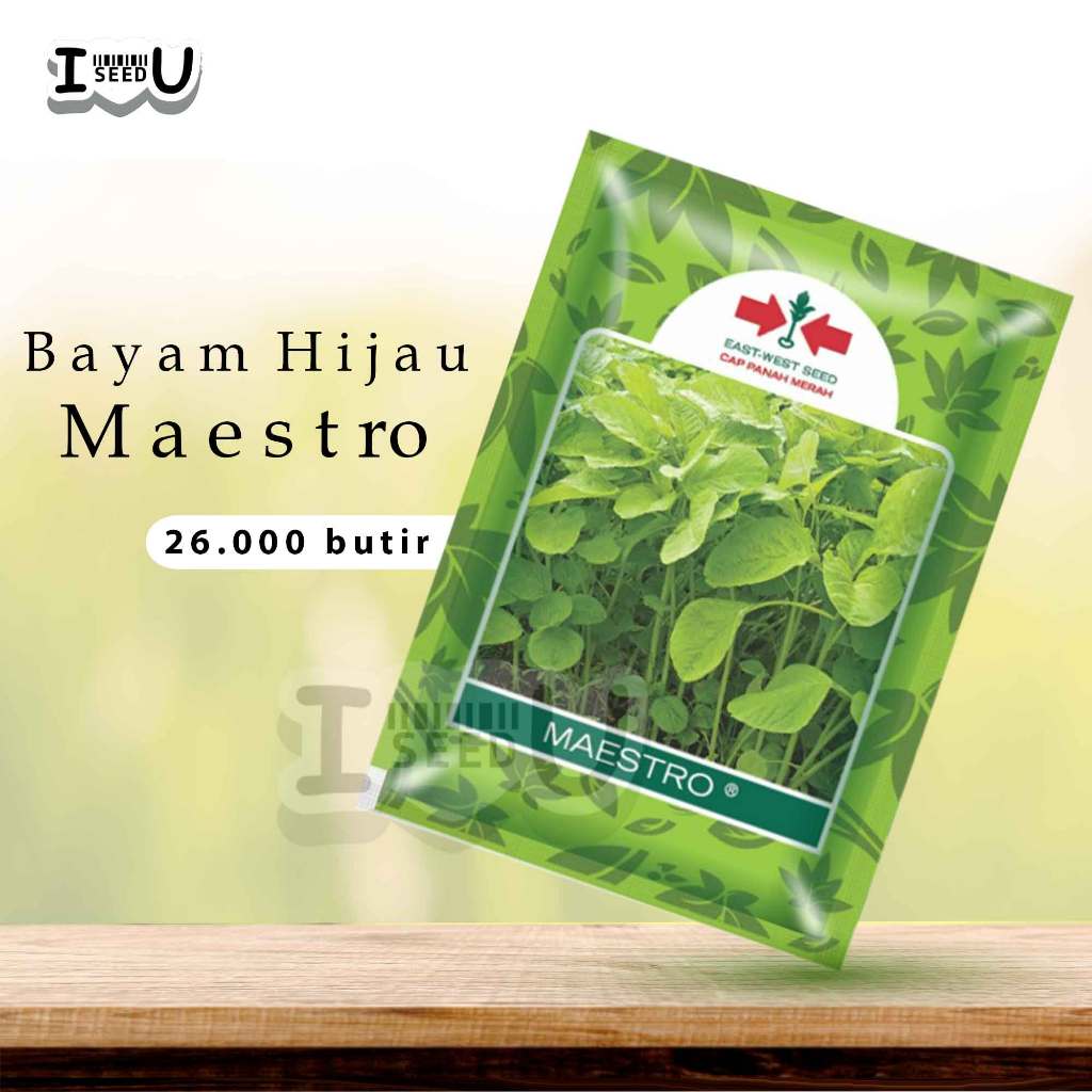 Jual Benih Bayam Hijau Maestro – Cap Panah Merah, Benih Sayur Daun ...