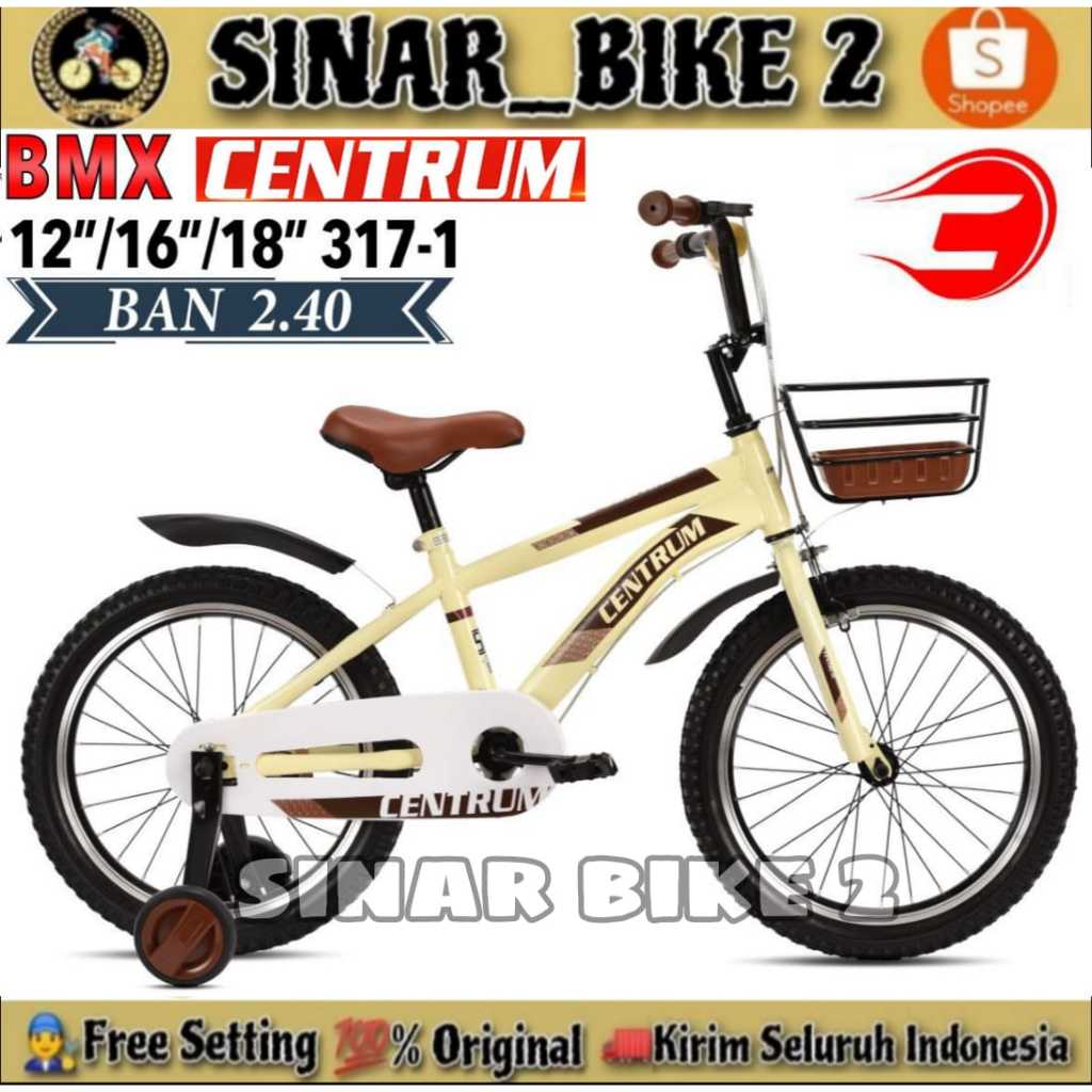 Jual Sepeda BMX Keranjang Anak Laki dan Perempuan CENTRUM CT 317-1 ...