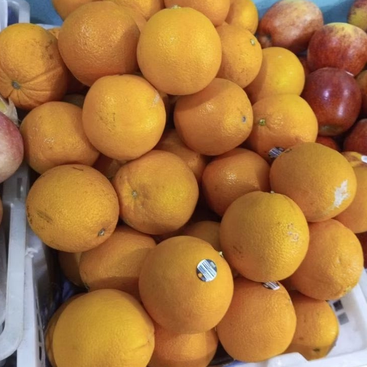 Jual Buah jeruk Sunkist Navel Fresh 1 KG | Shopee Indonesia
