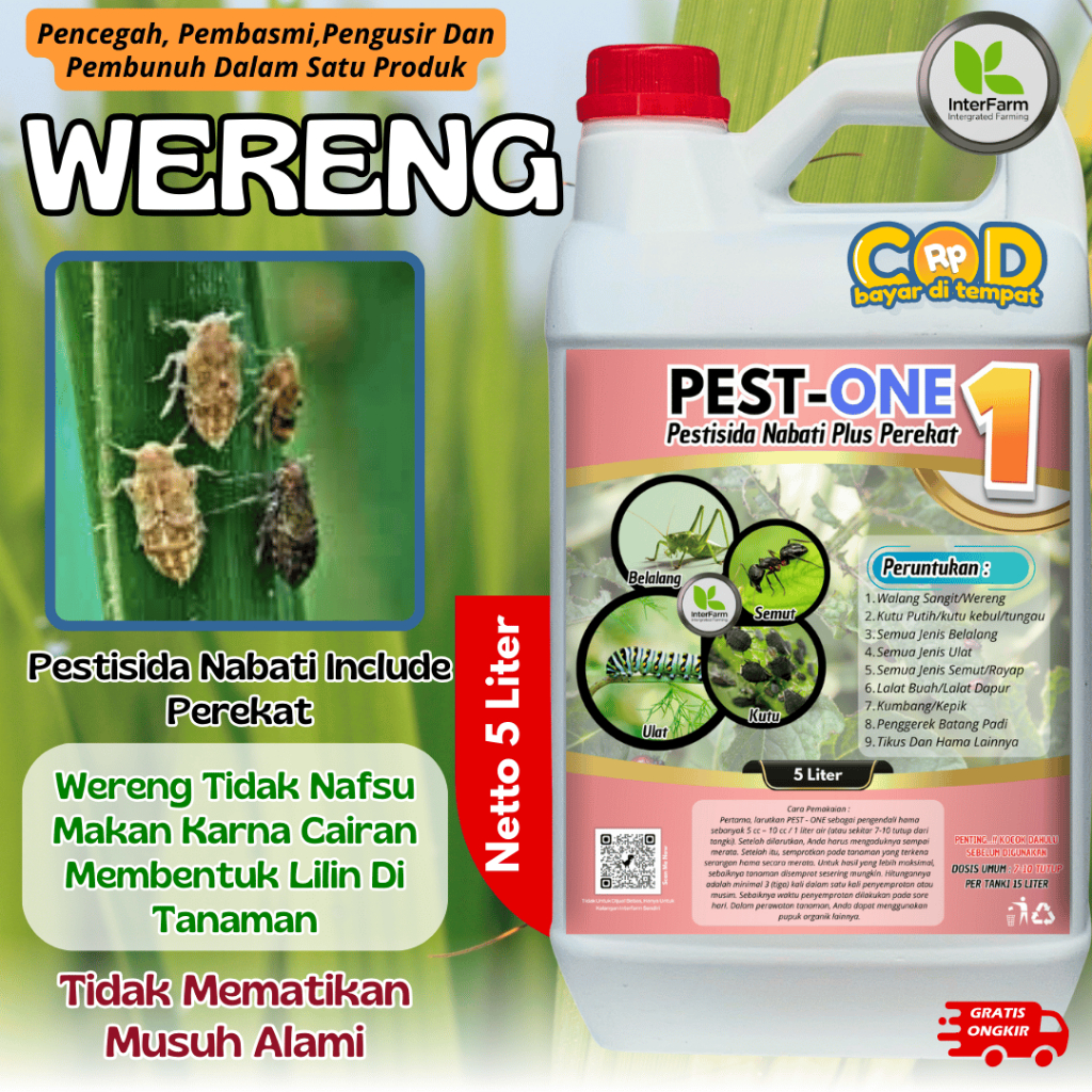 Jual 5 Liter Obat Hama wereng Padi / Pestisida Organik untuk semua ...