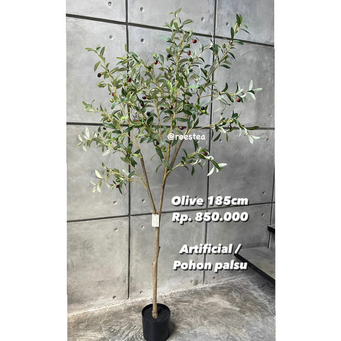 Jual Pohon Hias Olive Tinggi 185 cm /pohon hias Palsu/ pohon zaitun ...