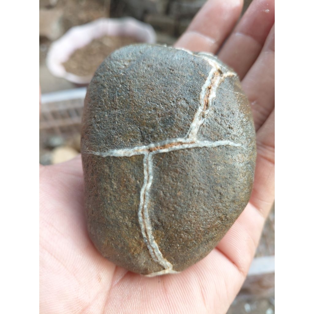 Jual batu asli alam batu petir napak jalak harga satuan | Shopee Indonesia