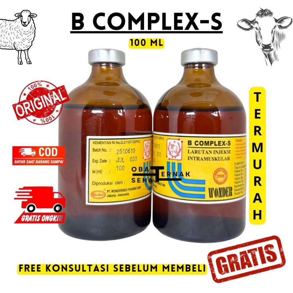 Jual B COMPLEX S SUPER 100 ml - WONDER - Vitamin B Complex Super 100 ml ...