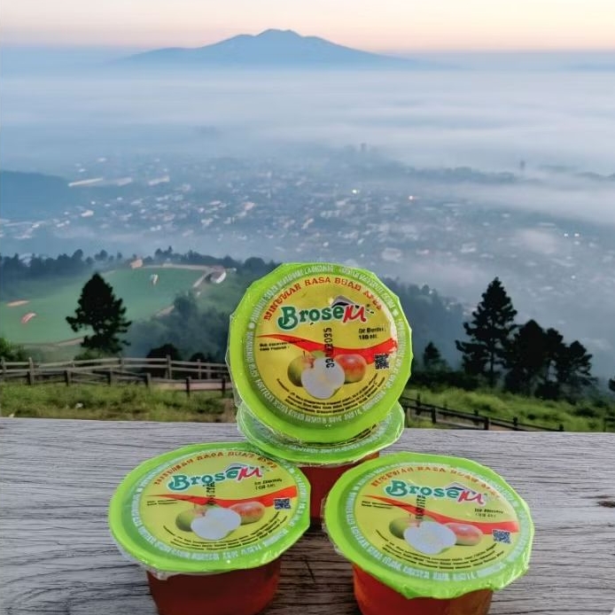 Jual Brosem minuman sari apel Oleh oleh khas Batu Malang Isi 18 kirim ...