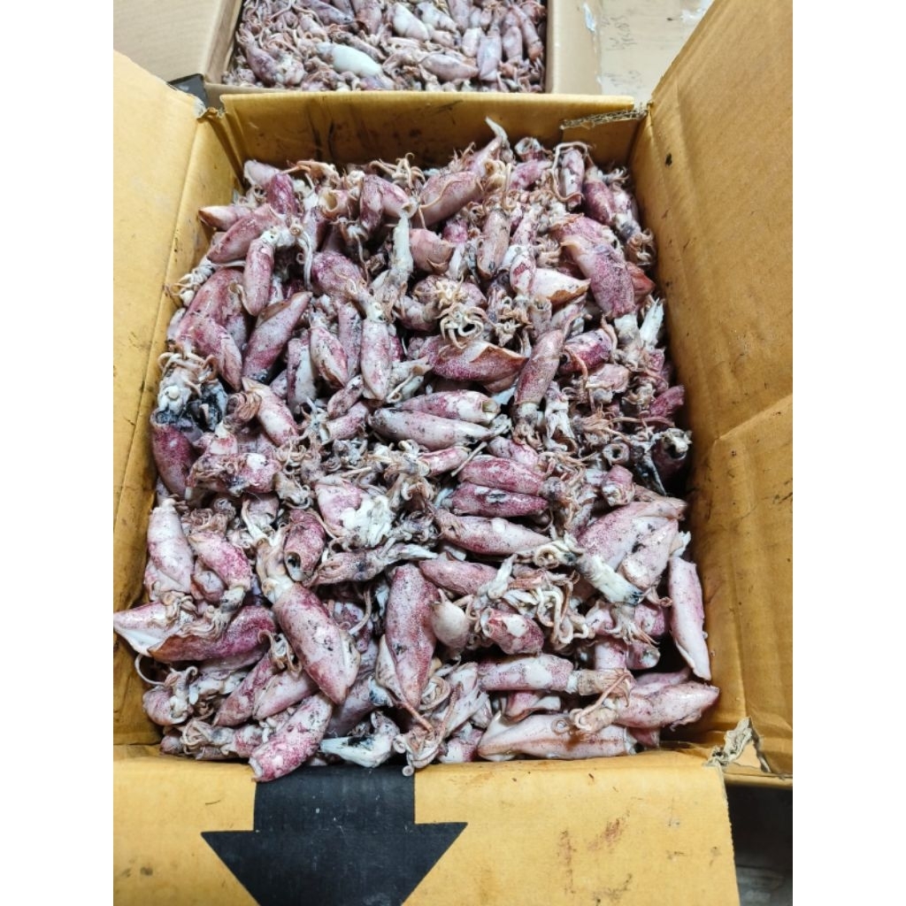 Jual CUMI ASIN REBUS 1 DUS/CUMI ASIN 10KG | Shopee Indonesia