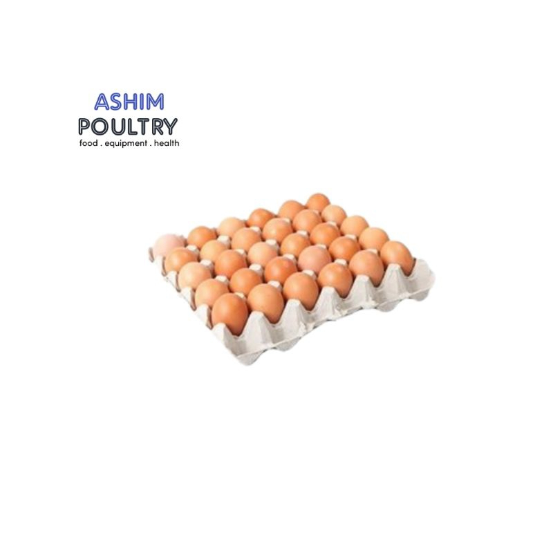 Jual Egg tray kertas ayam/ tempat telur ayam 1 pcs | Shopee Indonesia