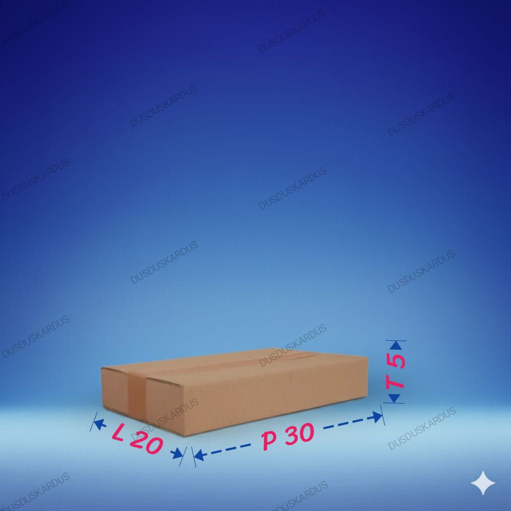 Jual KARDUS | BOX | PACKING ( 30 x 20 x 5 ) | Shopee Indonesia