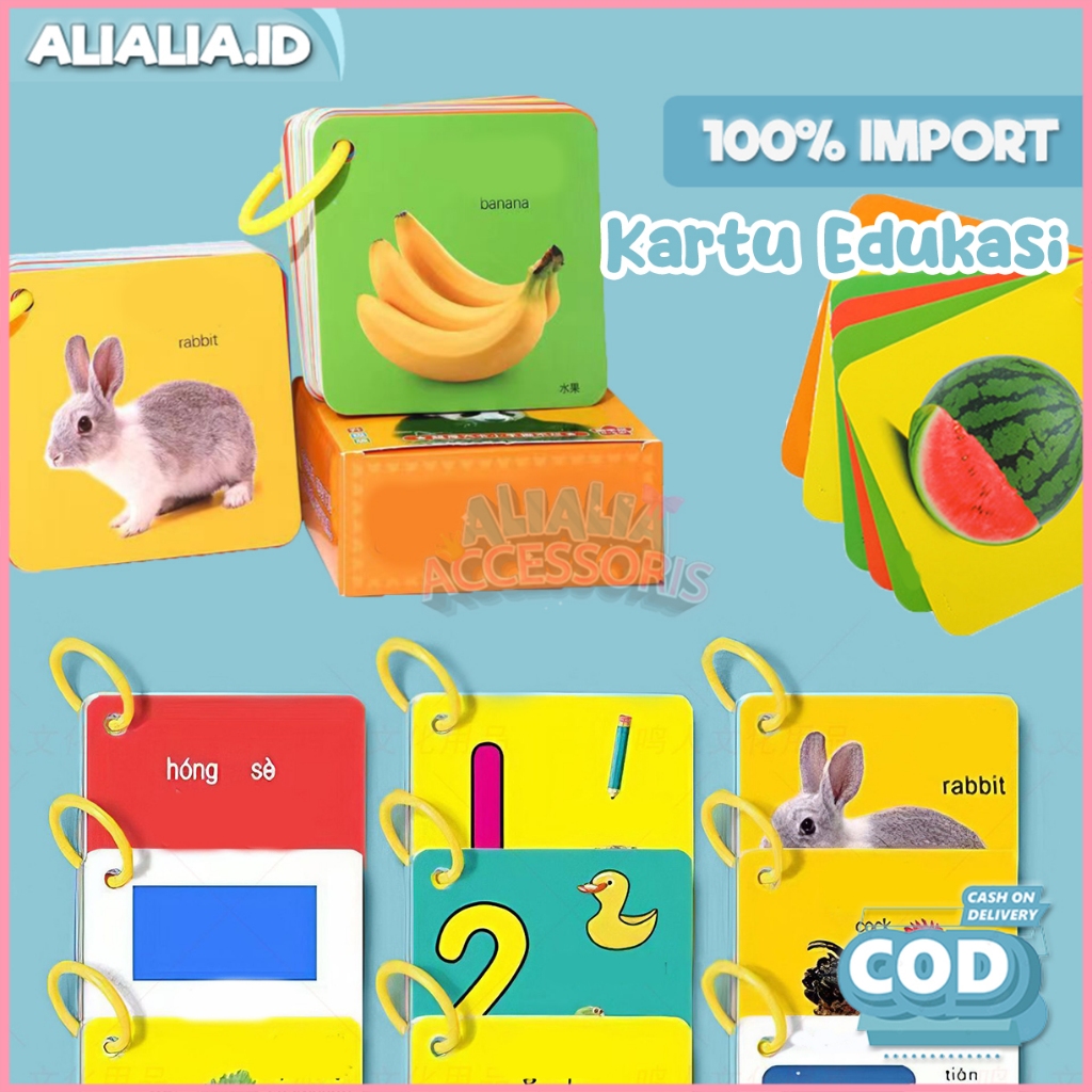 Jual Flash Card Edukasi Anak Mainan Kartu Pintar Belajar Hewan Buah ...